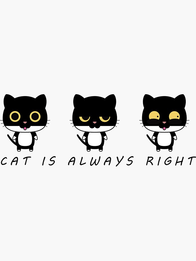 "Cat is always right-Funny Black Cat Kitty" Sticker by Assla | Redbubble