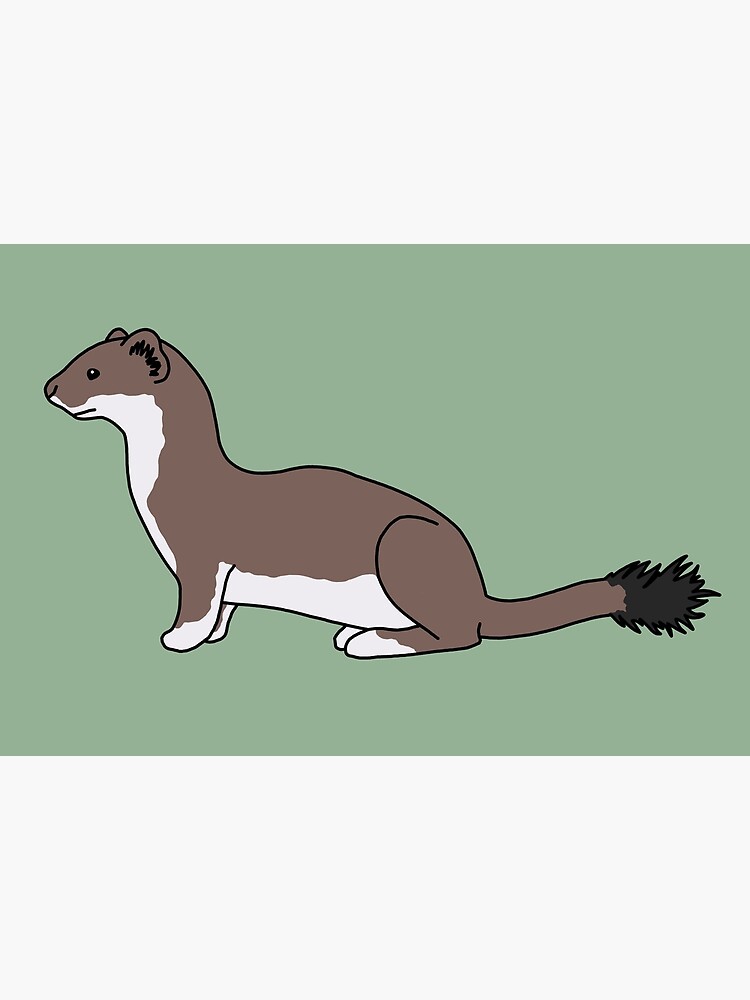 "Stoat" Poster for Sale by taylorrowan | Redbubble
