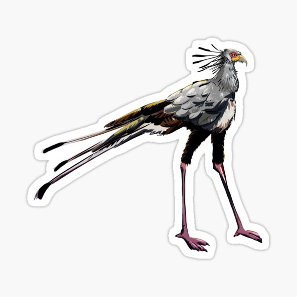"Sekretärvogel (secretary bird)" Sticker for Sale by ruhefuchs | Redbubble