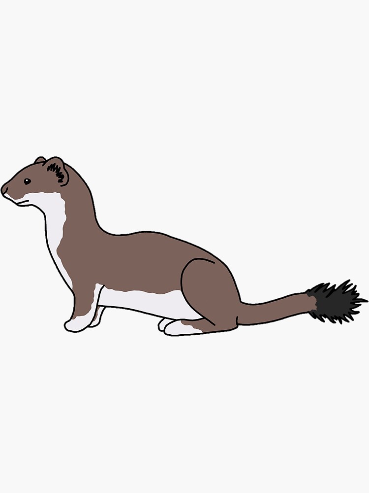 "Stoat" Sticker for Sale by taylorrowan | Redbubble