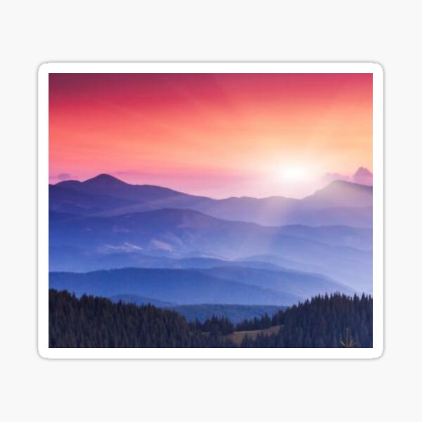 "Sunrise" Sticker by Tenderpalm | Redbubble