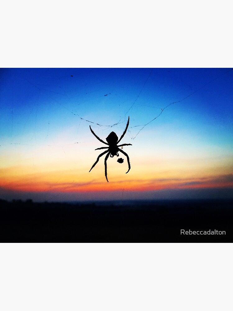 "Charlottes web" Sticker for Sale by Rebeccadalton | Redbubble