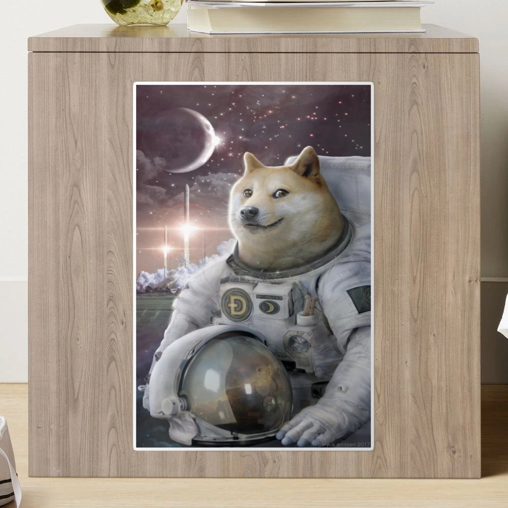 Doge Meme Astronauta