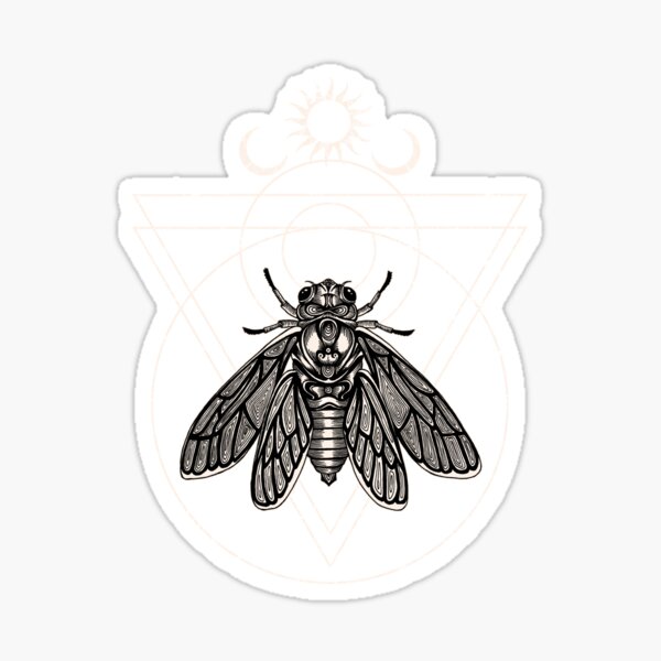 "Occult Cicada Brood X Sacred Geometry Ink Illustration" Sticker by ...