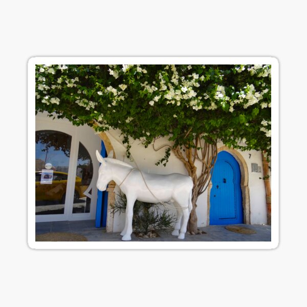 "Djerba Street Art - Dead Horse" Sticker for Sale by exploramum | Redbubble