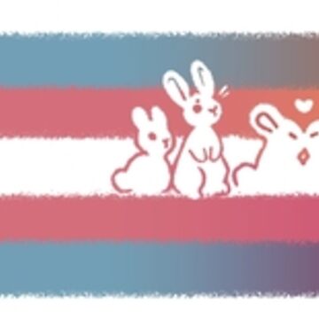 "Trans Lesbian Pride Rabbits" Coffee Mug for Sale by starsleeps | Redbubble
