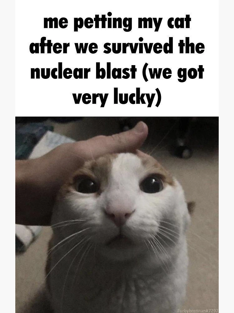 Jager Bomb Cat Memes