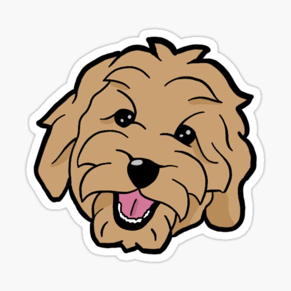 "Golden Red Cockapoo/Cavapoo" Sticker for Sale by CartsArts | Redbubble