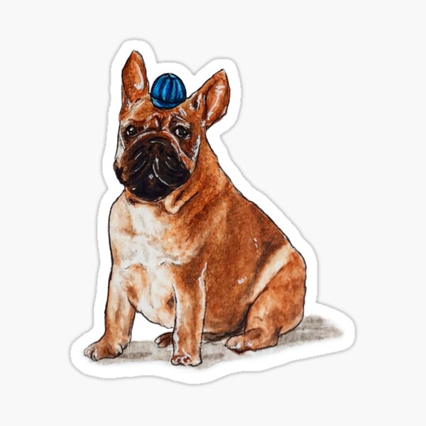 "Puzzled pug in blue baseball hat" Sticker for Sale by creatures-nhats ...