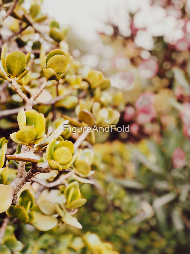 "California green" Sticker for Sale by FigureAndFold | Redbubble