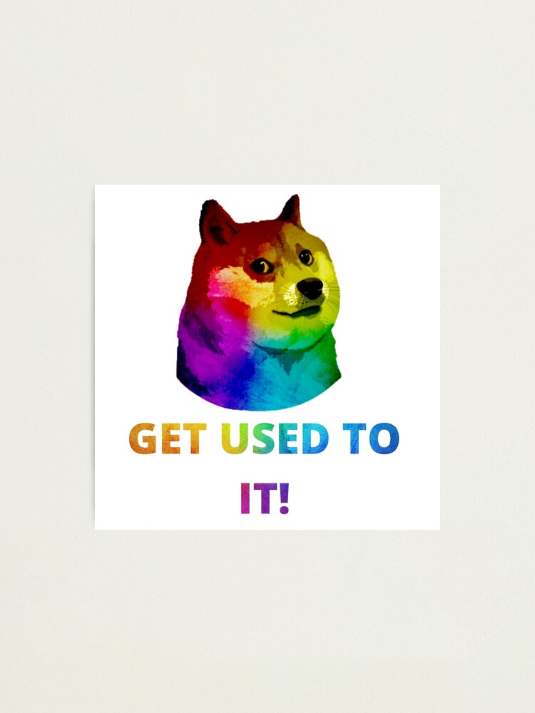 "Get Used To It DOGE- Gay Pride DOGE, Rainbow DOGE, LGBTQ plus DOGE ...