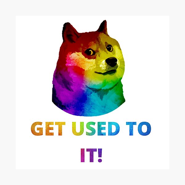 "Get Used To It DOGE- Gay Pride DOGE, Rainbow DOGE, LGBTQ plus DOGE ...