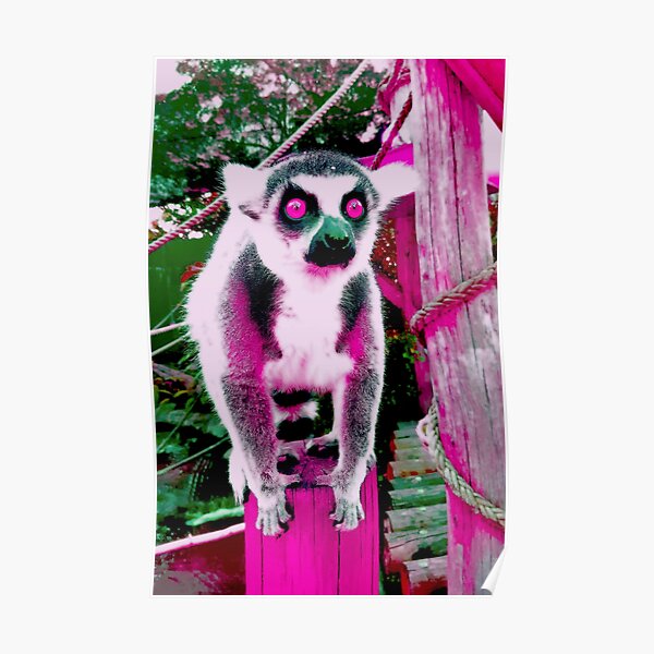 Póster «THE PINK NEON LEMUR - DULCE LEMUR FOTOGRAFÍA CON EFECTOS DE ...