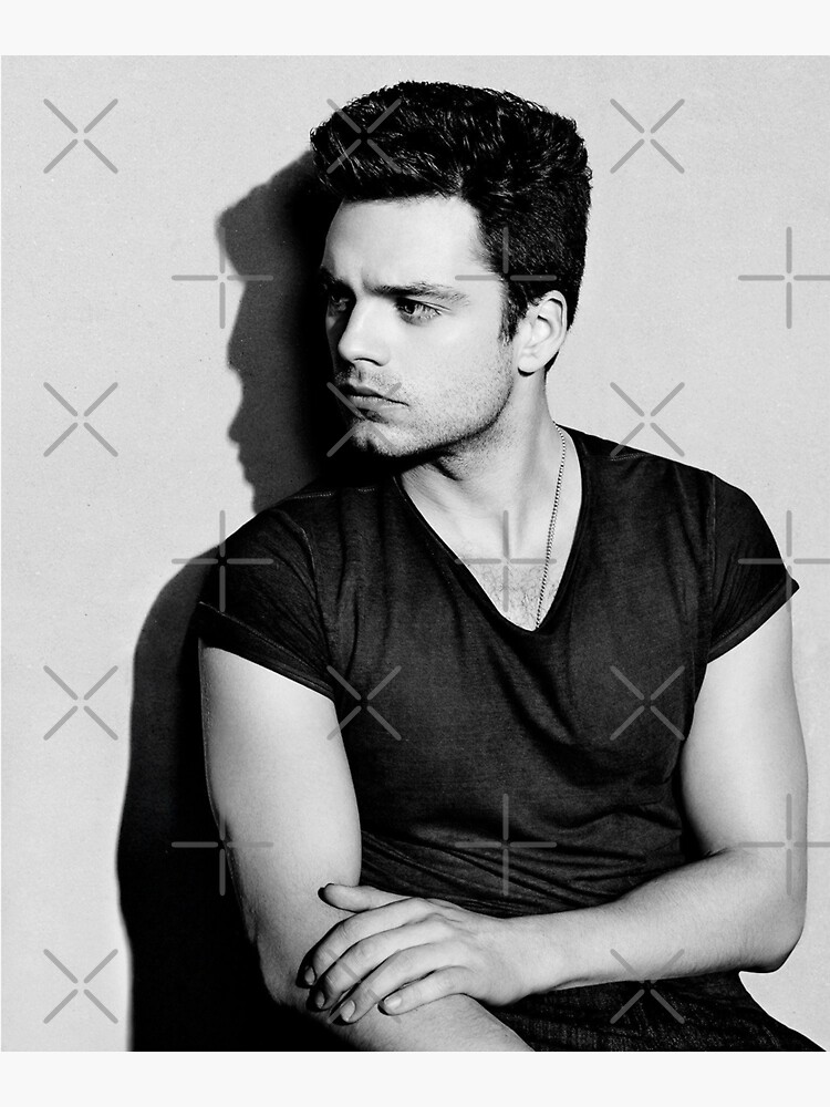 "Sebastian Stan Blankets | Sebastian Stan Stickers | Sebastian Stan ...