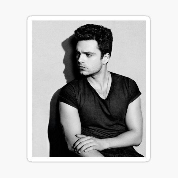 "Sebastian Stan Blankets | Sebastian Stan Stickers | Sebastian Stan ...