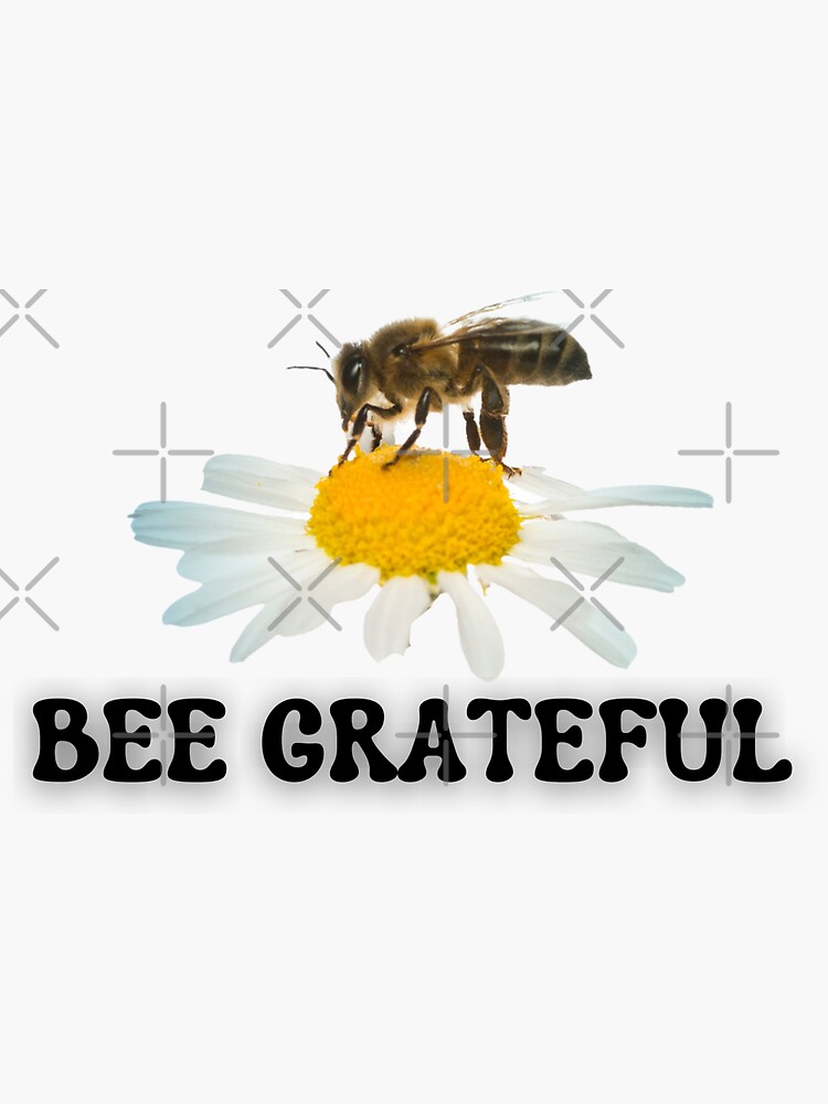 "Bee Grateful Funny Bumble Bee Pollination Colony Collapse Essential ...