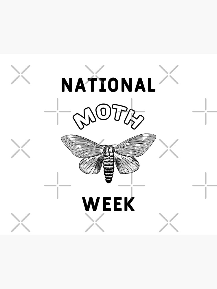 "National Moth Week" Poster for Sale by b-for-blueberry | Redbubble