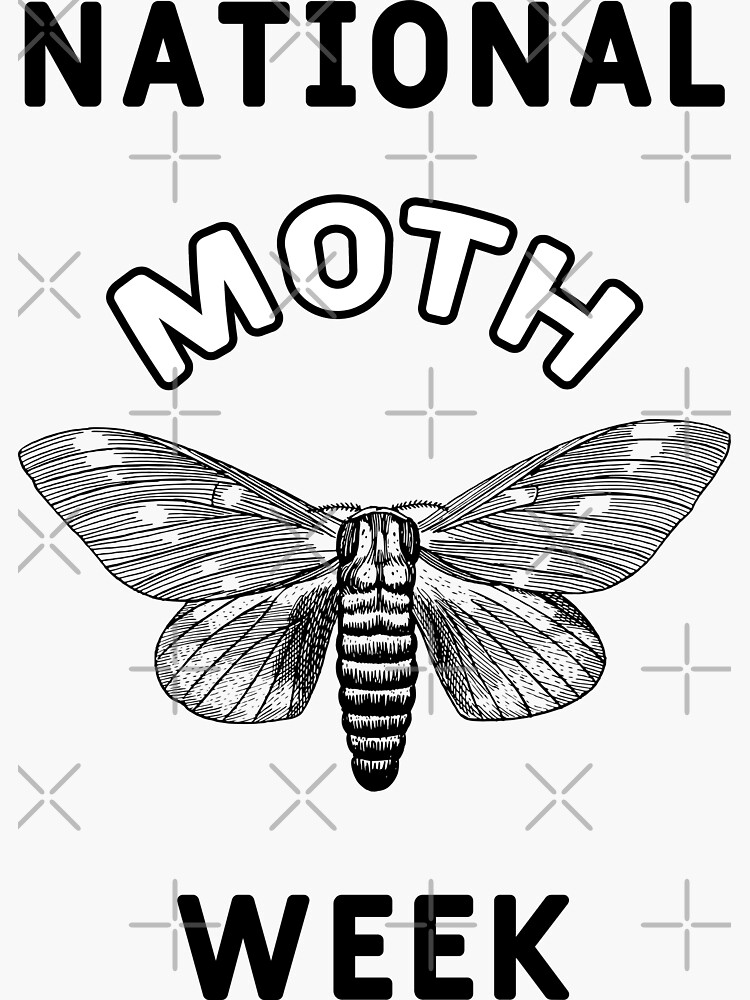 "National Moth Week" Sticker for Sale by b-for-blueberry | Redbubble