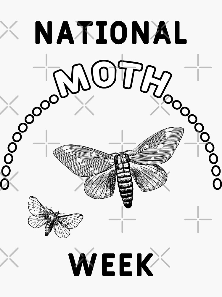 "National Moth Week" Sticker for Sale by b-for-blueberry | Redbubble