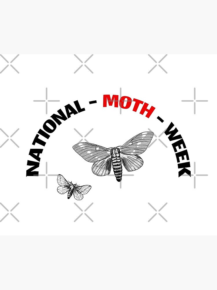 "National Moth Week" Poster by b-for-blueberry | Redbubble