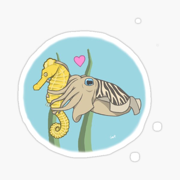 Electronics & Accessories Cuddle Fish Sticker Decals & Skins etna.com.pe