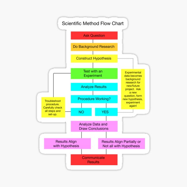 "Scientific Method Flow Chart" Sticker for Sale by Christi Bender ...