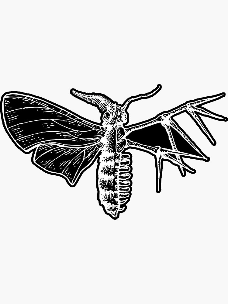 "moth body anatomy skeleton" Sticker for Sale by Somplax | Redbubble