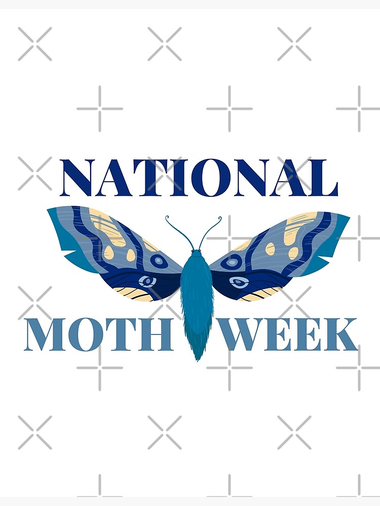 "national moth week" Poster by nevertheless- | Redbubble