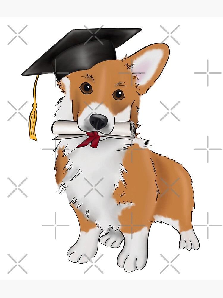 "Cute Corgi Graduation | Corgi Wearing a Graduation Hat and Holding a ...