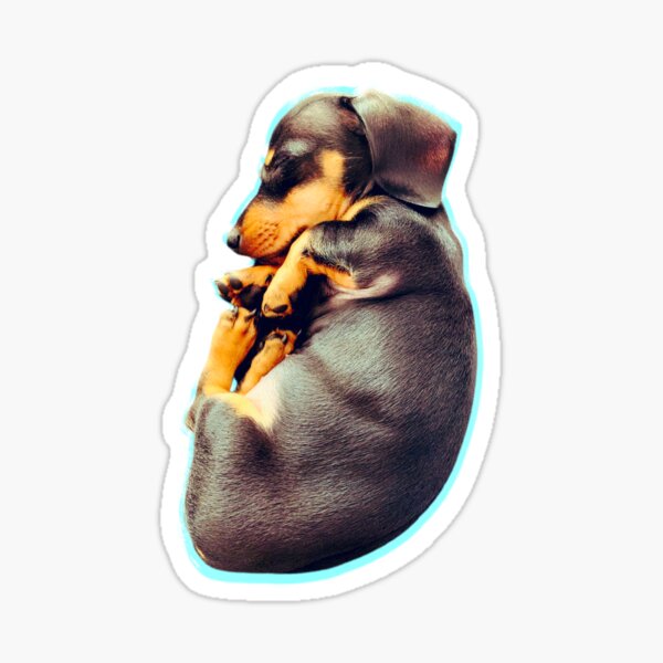 "Puppy power - Cava" Sticker for Sale by bobdijkers | Redbubble