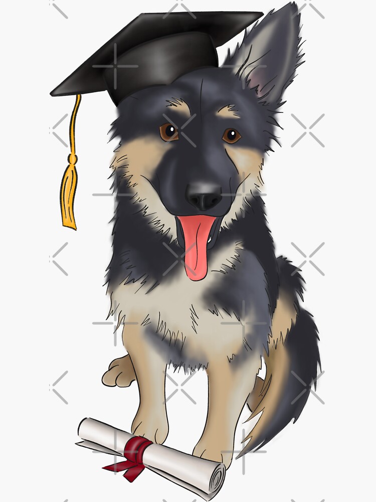 "Cute German Shepherd Graduation | German Shepherd Wearing a Graduation ...