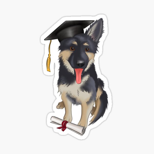 "Cute German Shepherd Graduation | German Shepherd Wearing a Graduation ...