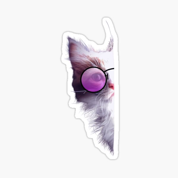 "Cute Peeking Kitty Cat " Sticker by jlediting88 | Redbubble