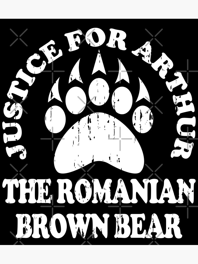 "Justice For Arthur The Romanian Brown Bear" Poster for Sale by qudkin ...