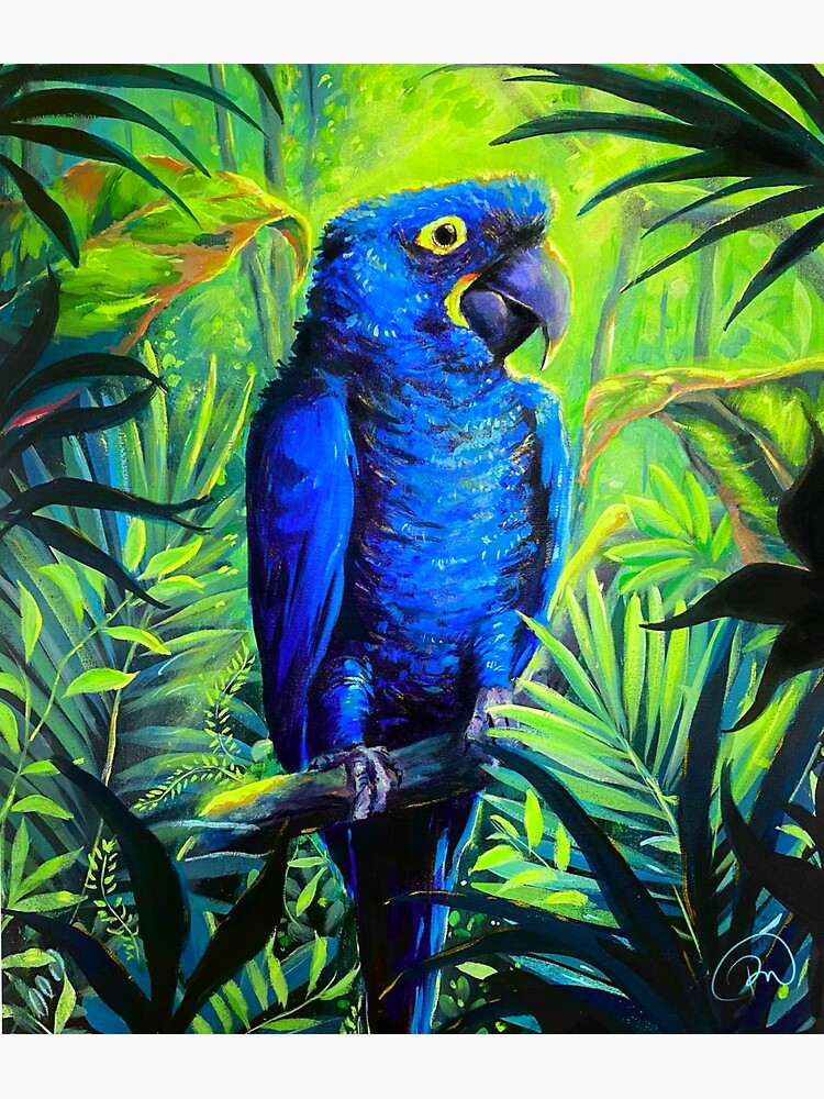 "Hyacinth Macaw" Sticker by RitzelDraws | Redbubble