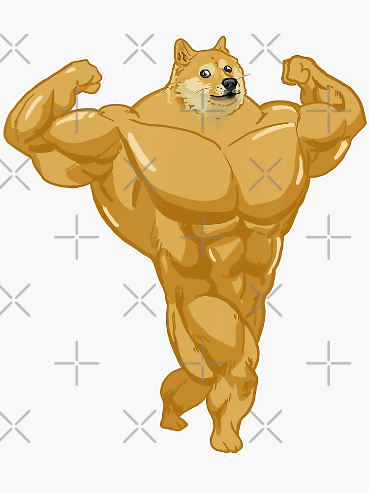 "Buff Doge funny Swole Doge Sticker meme" Sticker by instameme | Redbubble