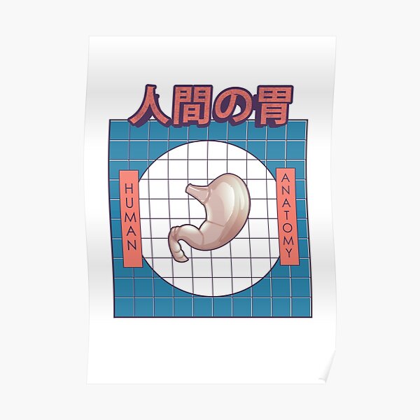 "Human Stomach Anatomy" Poster for Sale by Atifslm | Redbubble