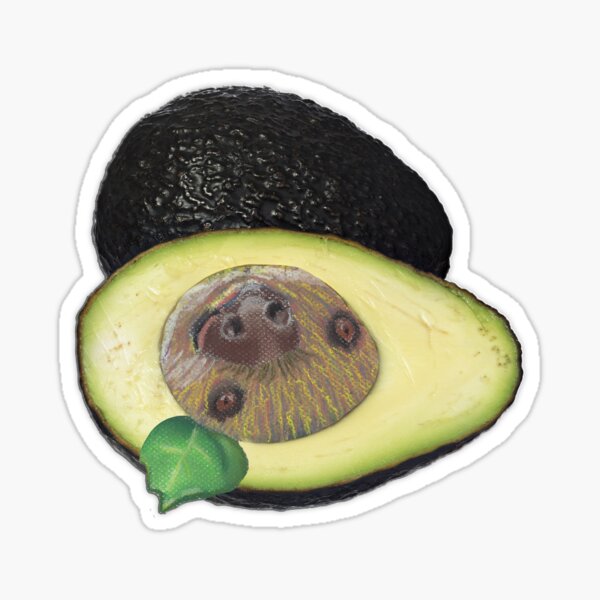 "Sloth Combined with an Avocado is a Slothvocado " Sticker by ...
