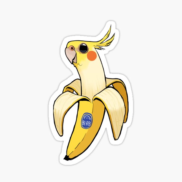 Funny Banana Cockatiel Cute Birb Bananatiel Sticker For Sale By Goldindoodle Redbubble