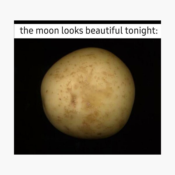 Potato Internet Memes You Say Potato, I Say Potcato... : R/memes