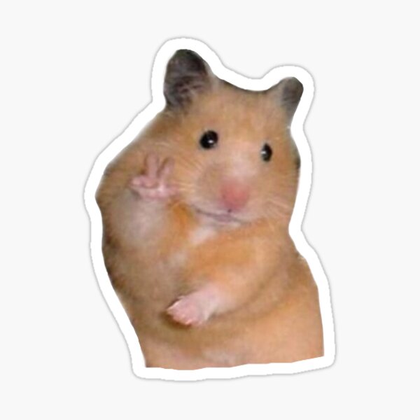 "Hamster Holding Peace Sign Meme" Sticker for Sale by smileystickeers ...