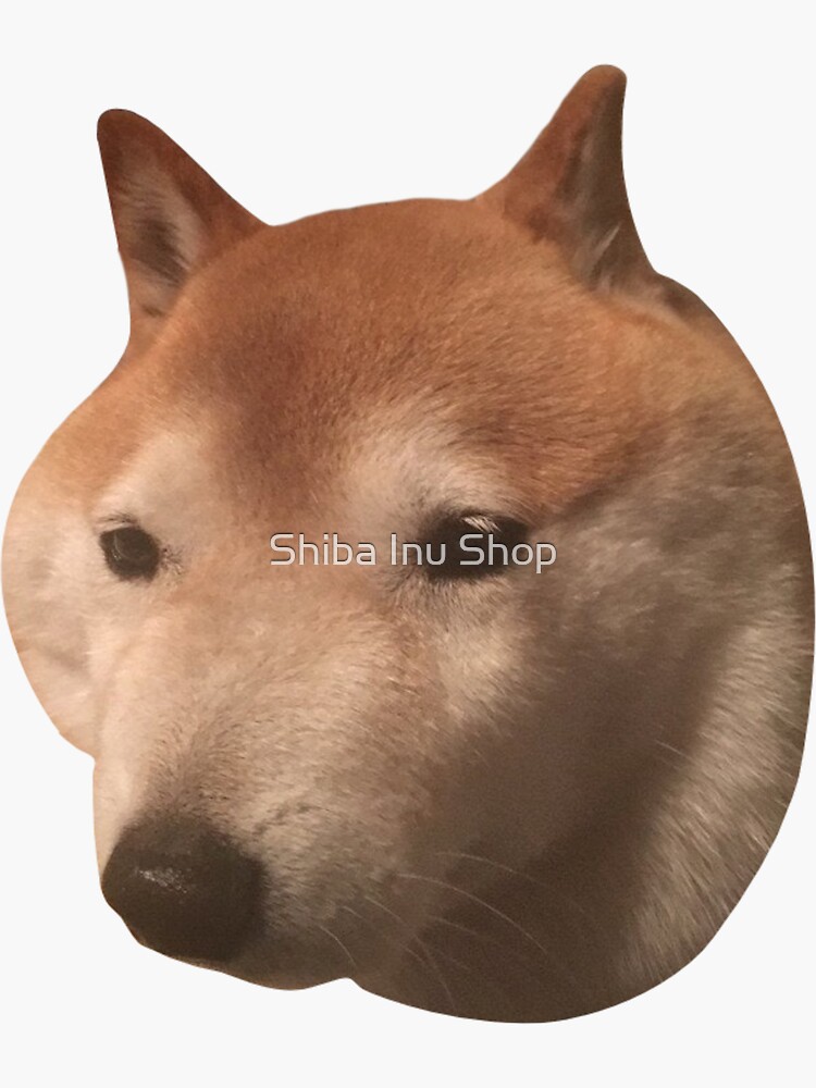 "Swole Shiba Face Meme" Sticker for Sale by Shiba-Inu-Shop | Redbubble