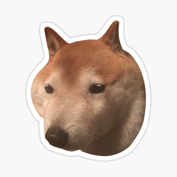 "Swole Shiba Face Meme" Sticker for Sale by Shiba-Inu-Shop | Redbubble