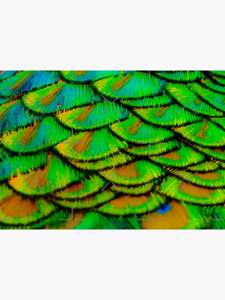 "Peacock scales" Sticker by Dalyn | Redbubble