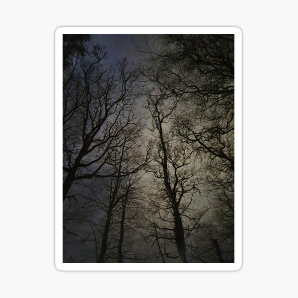 "dark aesthetic" Sticker for Sale by vitoriaa | Redbubble