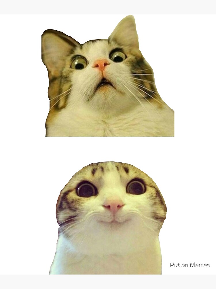 "Shocked Cat Smiling Cat Meme" Art Print for Sale by putonmemes | Redbubble