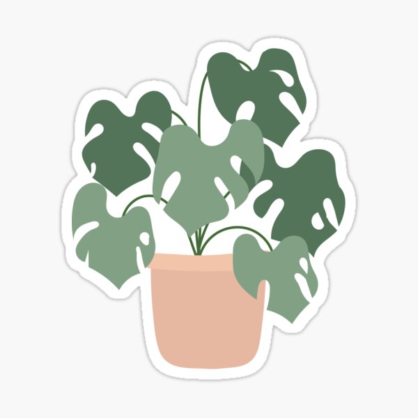 "Minimalist Plant Sticker" Sticker for Sale by BrookeAngelaArt | Redbubble