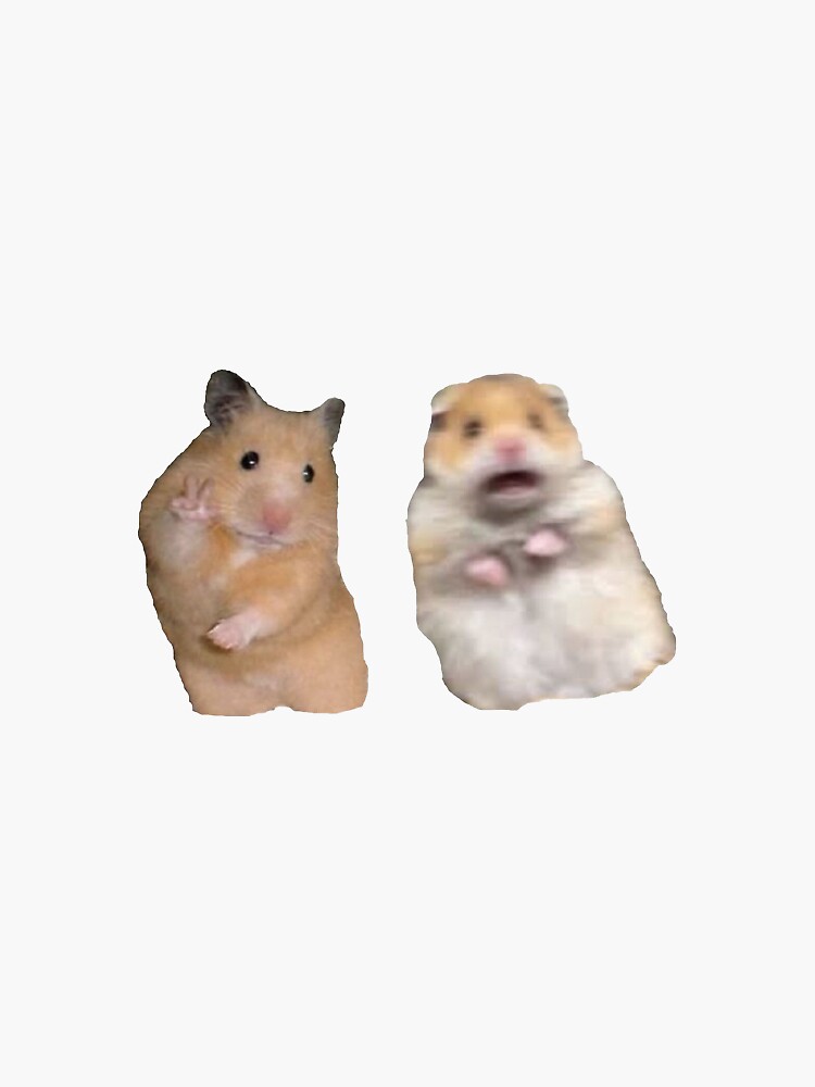 "hamster famous meme sticker" Sticker by reemxfuture | Redbubble