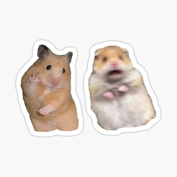 "hamster famous meme sticker" Sticker by reemxfuture | Redbubble