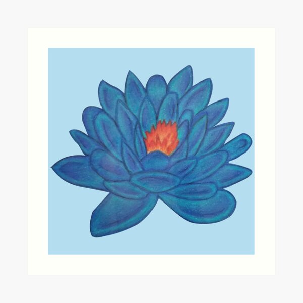 "Blue Lotus Flower Drawing" Art Print by Arianna-media | Redbubble